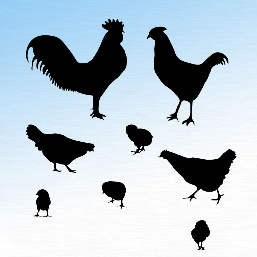 Free Chicken Custom Shapes - Free Custom-shapes Download ...