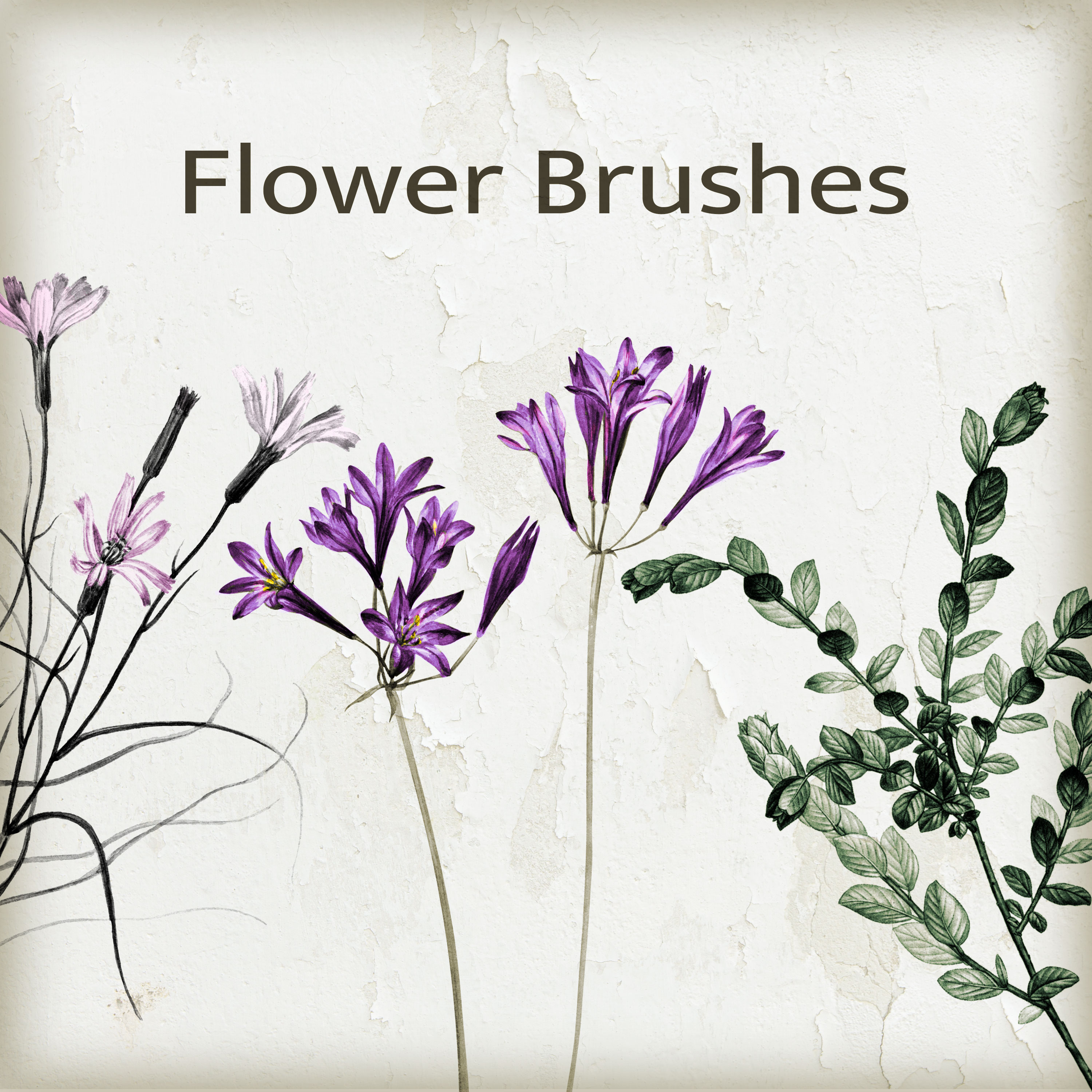 9 Free Flower Brushes - Free ABR Download | MyPhotoshopBrushes