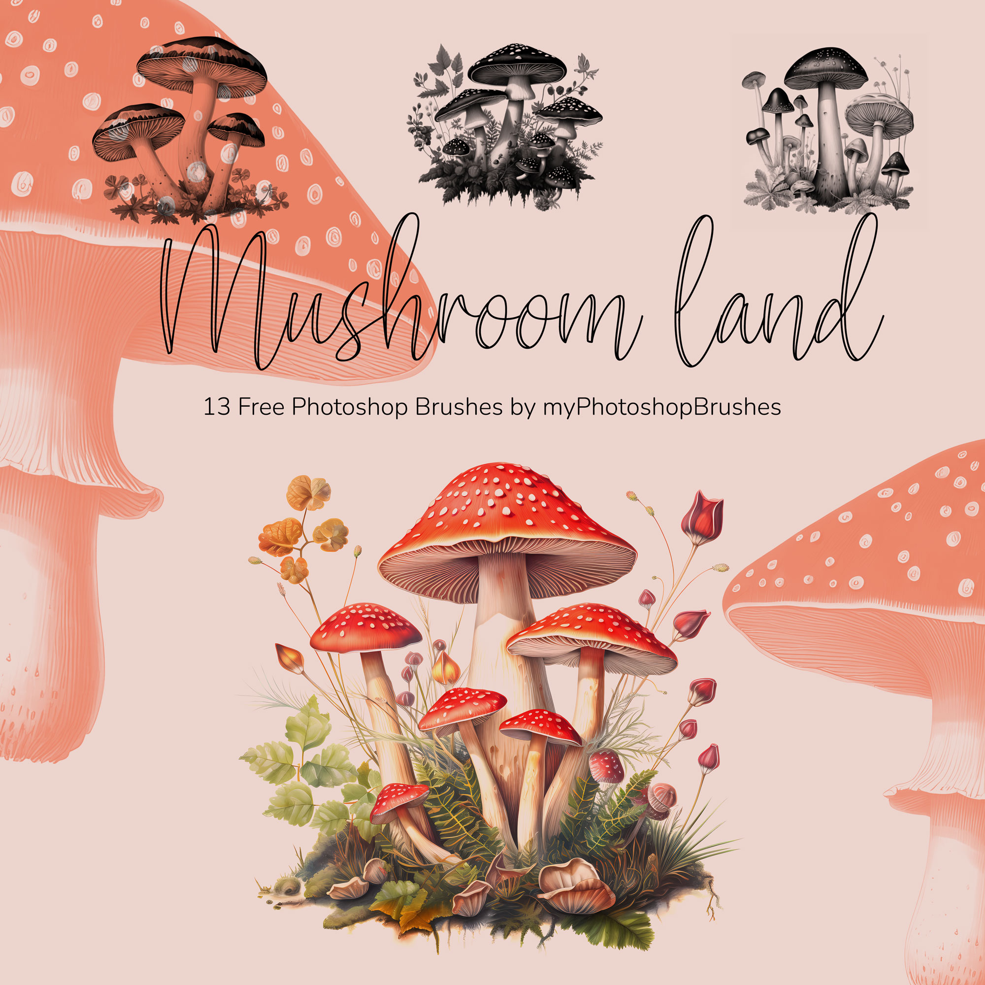 Mushroom Land - Free Brushes Download | MyPhotoshopBrushes