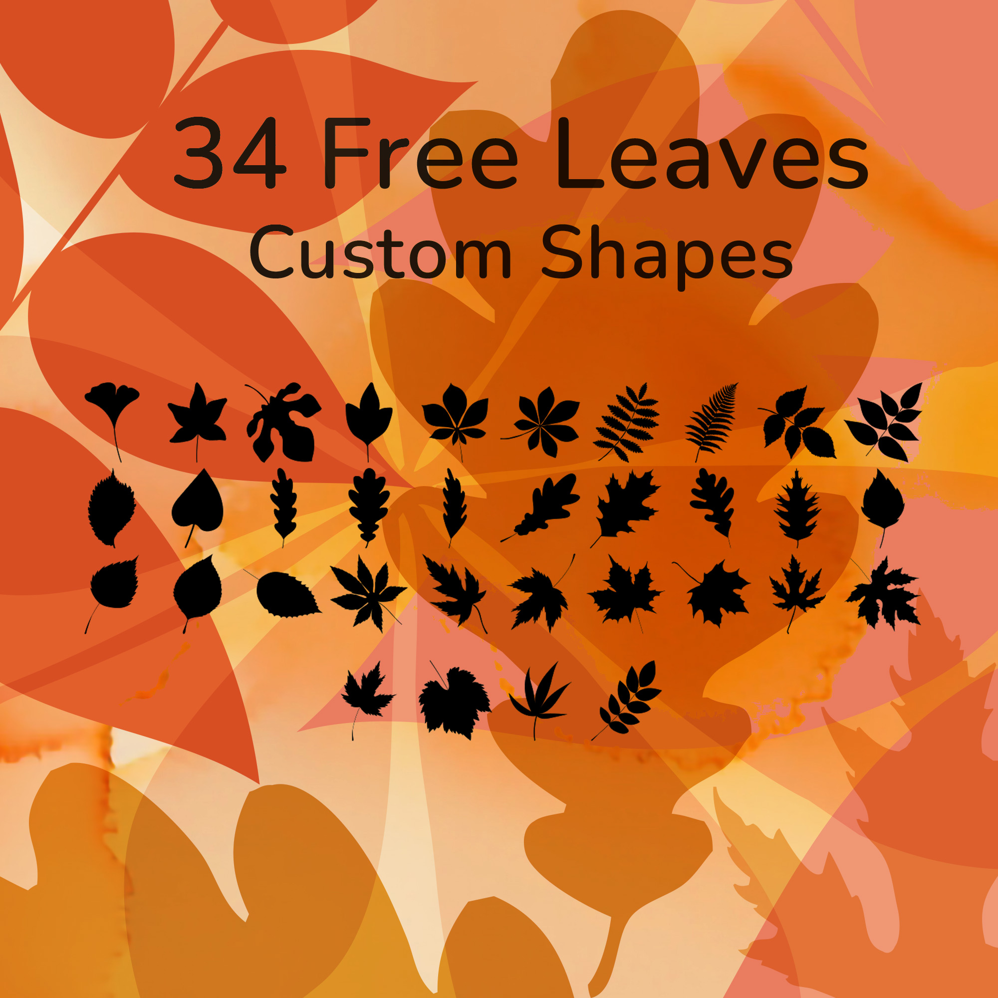 Leaf Custom Shapes - Free Custom-shapes Download | MyPhotoshopBrushes
