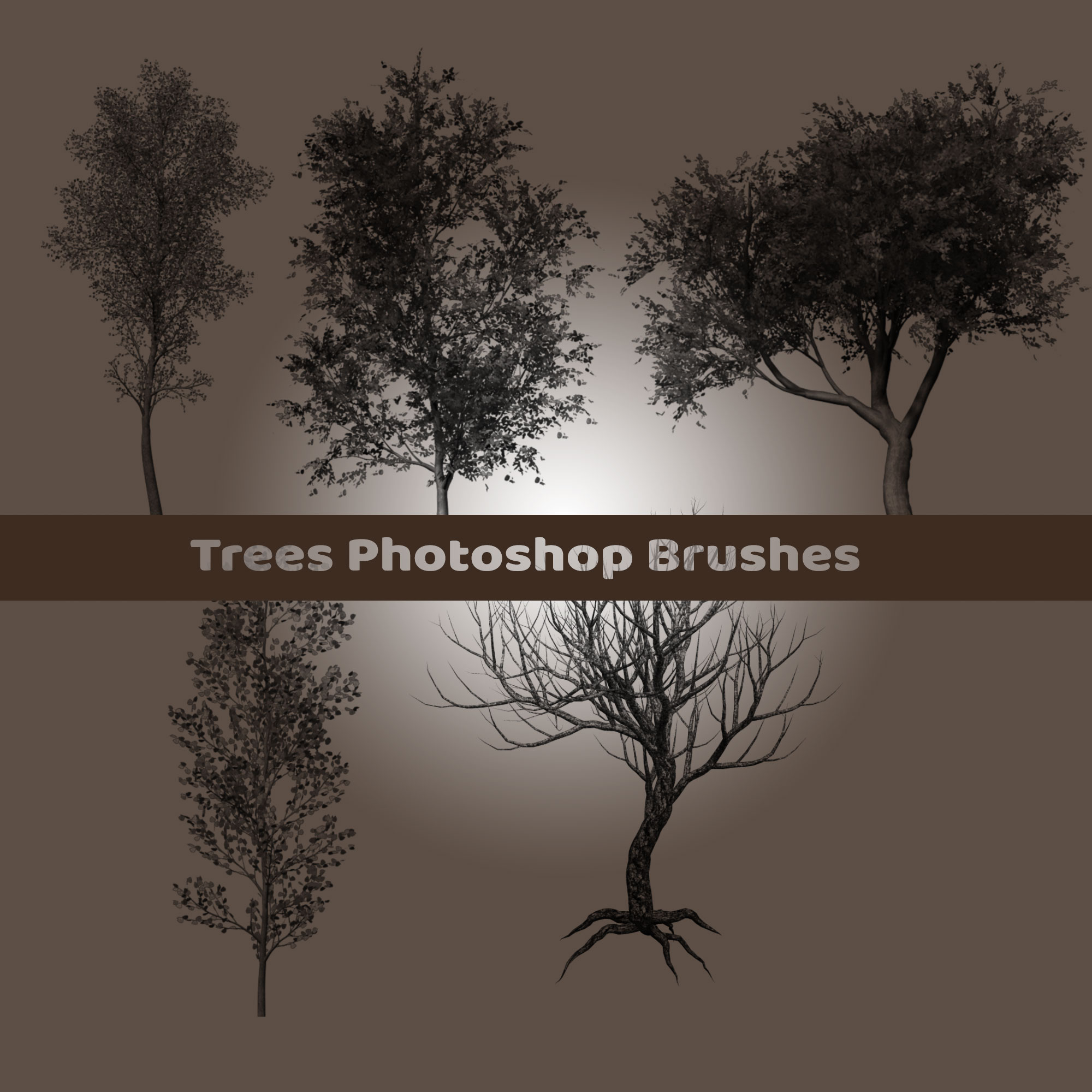 Photoshop Brushes Trees